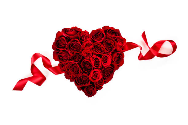 Heart Shaped Rose Pictures | Download Free Images on Unsplash