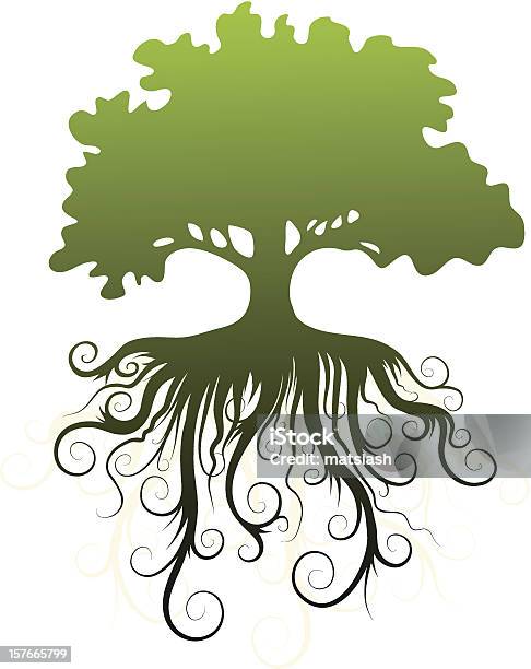A Silhouette Of A Green Tree And Its Roots向量圖形及更多側影圖片 側影 剪裁圖 大自然