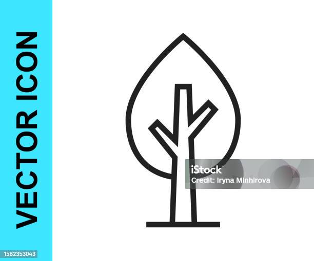 Icône Darbre De Ligne Noire Isolée Sur Le Fond Blanc Symbole De Forêt