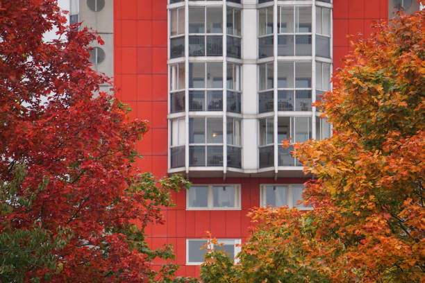 Free Stock Photo of Autumn leaves framing modern building windows ...