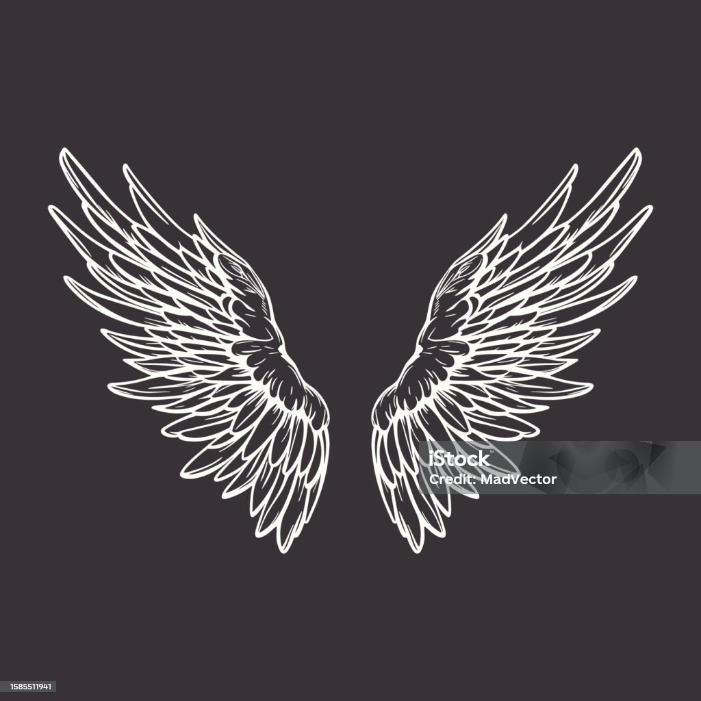 Vector Wings Icon Vintage Angel Wings Icon Design Template Clipart