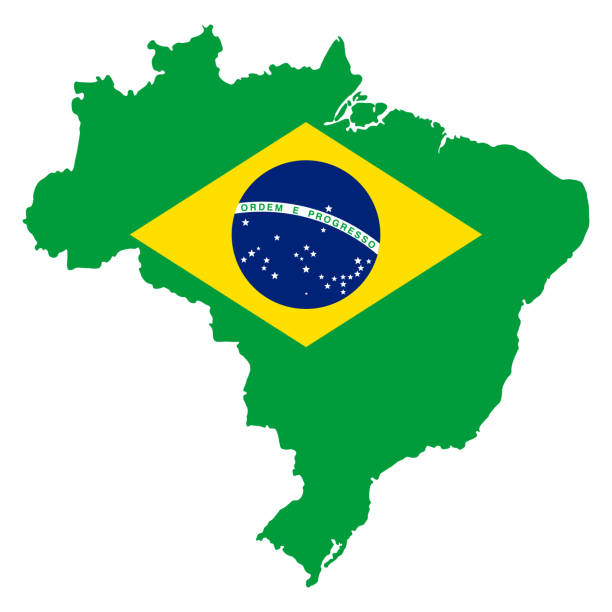 130 Mapa De Brasil Y Viajes Infografía Plantilla De Diseño Fotografías