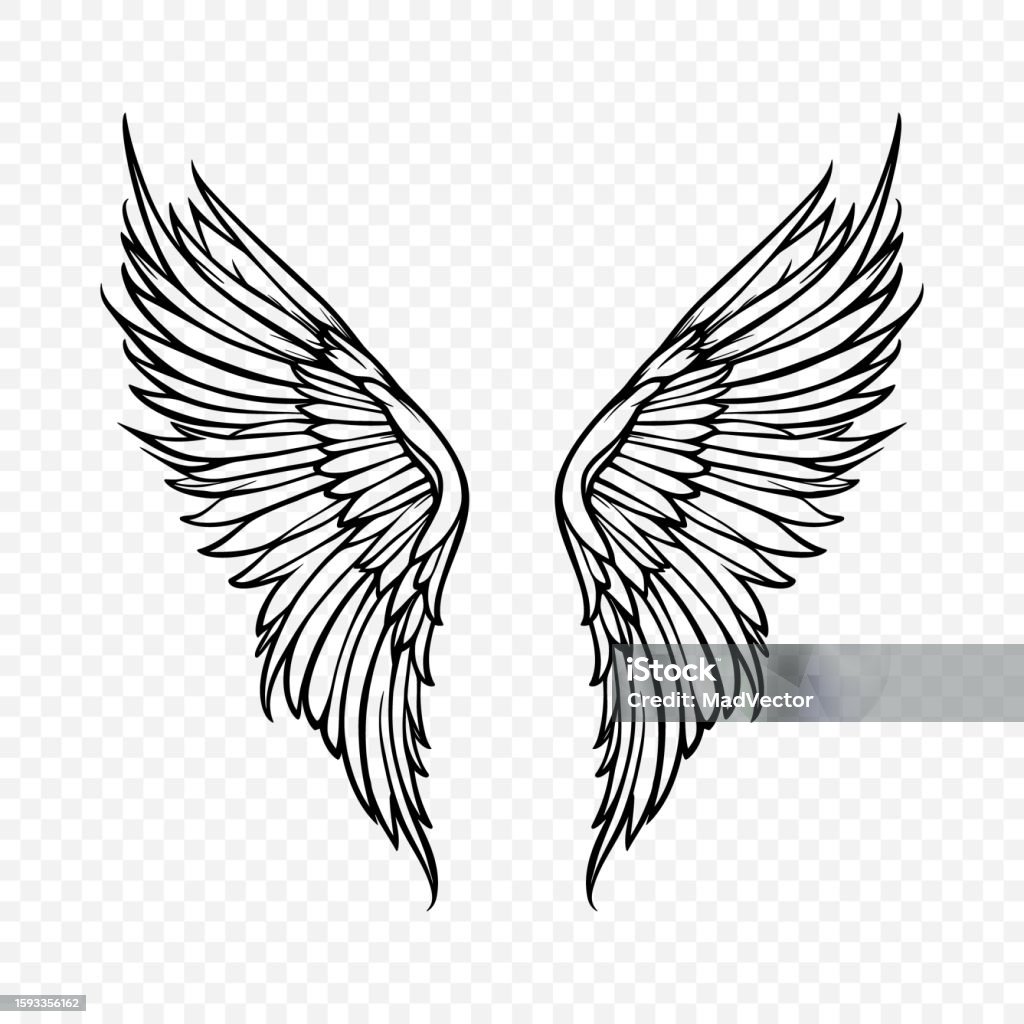 Vector Wings Icon Vintage Angel Wings Icon Design Template Clipart