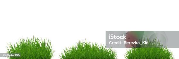 Green Grass Tuft Set Isolated On White Background Vector Stock