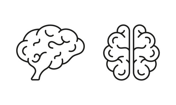 160+ Brain Injury Lifestyle Stock Illustrations, Royalty-Free Vector ... 160+ Brain Injury Lifestyle Stock Illustrations, Royalty-Free Vector ...