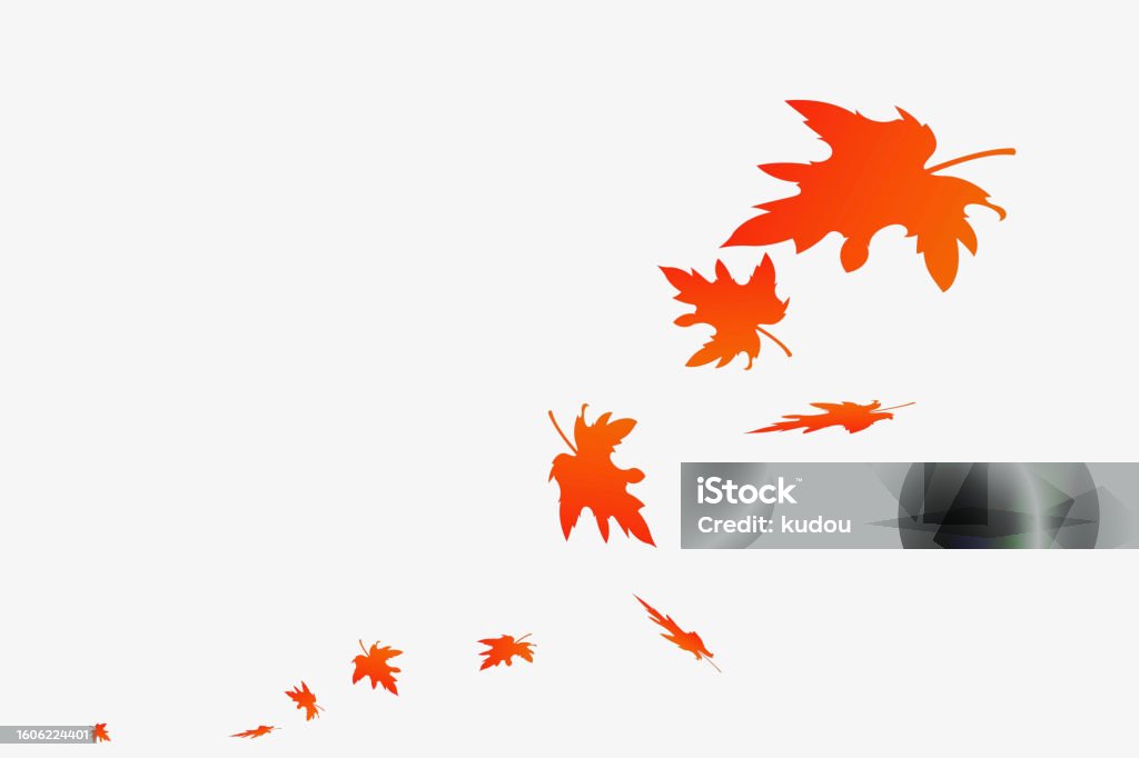 Fallen Leaves Stock Illustration Download Image Now Autumn Autumn