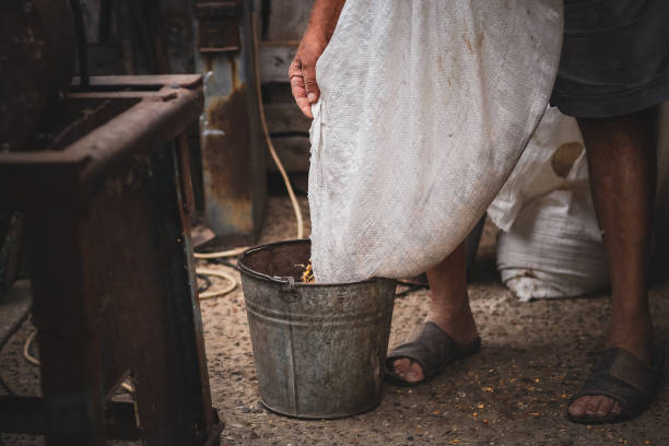 Free picture: Old metal bucket with feces excrement and dirt