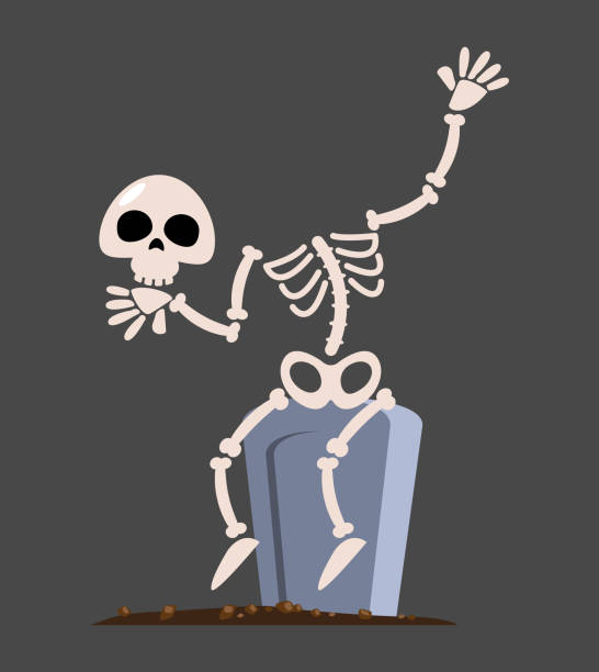 20 White Black Background Dead Body Human Skeleton Stock Illustrations