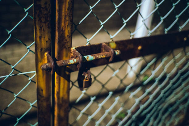 Free Stock Photo of Padlocks attached to a chain-link fence | Download ...