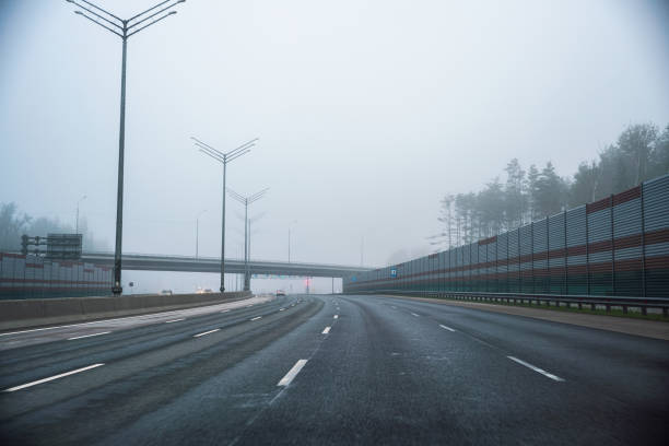 Free Stock Photo of Road lined with trees in dense fog | Download Free ...