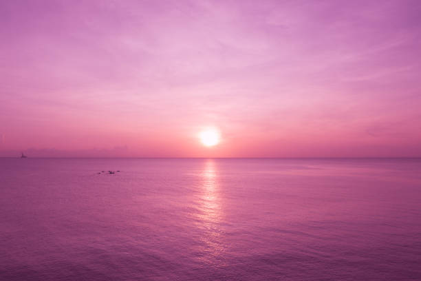 Free Stock Photo of A purple and pink sky over water | Download Free ...