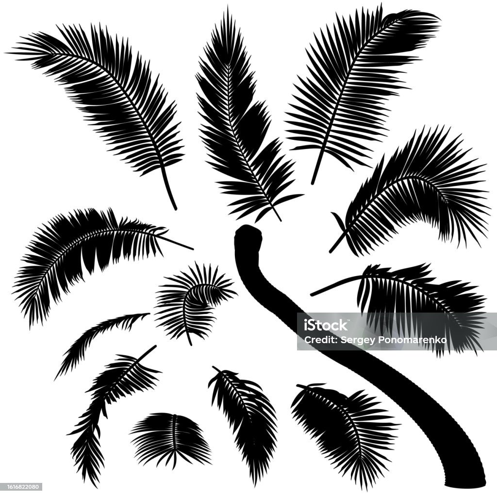 Shape Of Bent Coconut Palm Tree Elements Stock Illustration - Download ... Shape Of Bent Coconut Palm Tree Elements Stock Illustration - Download ...