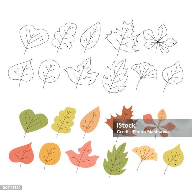 Ensemble De Onze Feuilles Dautomne Abstraites Illustration Vectorielle