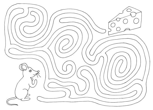 White Mouse In A Maze