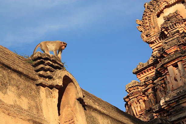 Free picture: Monkey standing on a stone structure in A Hindu temple at ...