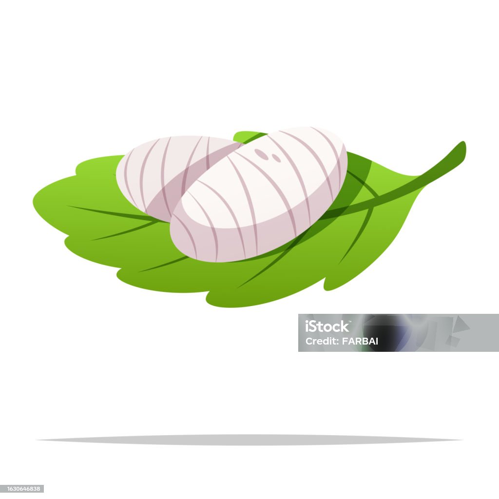 Silkworm Cocoon Vector Isolated Illustration Stock Illustration