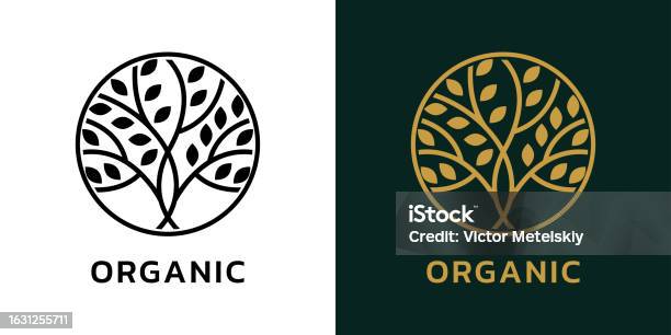 Icône Ou Logo De Larbre Symbole Abstrait De La Nature Design Demblème