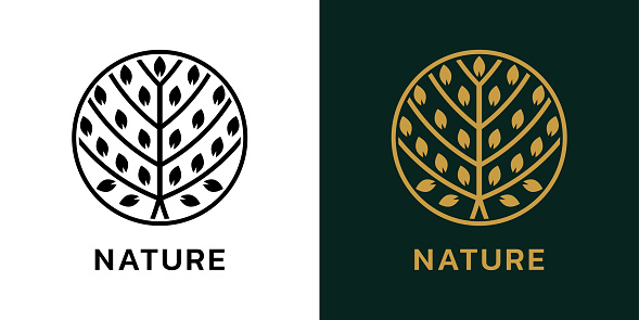 Icône Ou Logo De Larbre Symbole Abstrait De La Nature Design Demblème