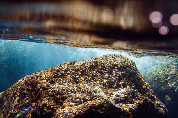 Free Stock Photo of Underwater View of Rocks Under Water | Download ...