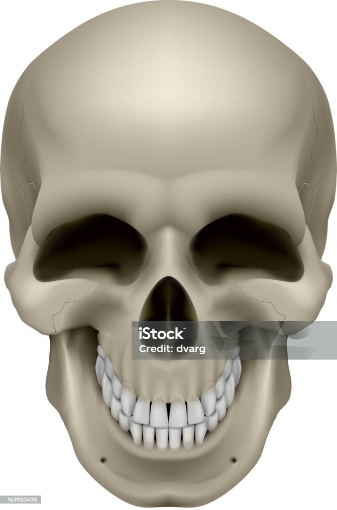 Freaky Human Skull Stock Illustration - Download Image Now - Human Body ... Freaky Human Skull Stock Illustration - Download Image Now - Human Body ...