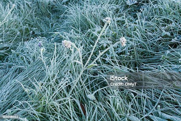 Frost 터치스크린을 사용하는 두 아이 0명에 대한 스톡 사진 및 기타 이미지 0명 녹색 눈꽃 Istock