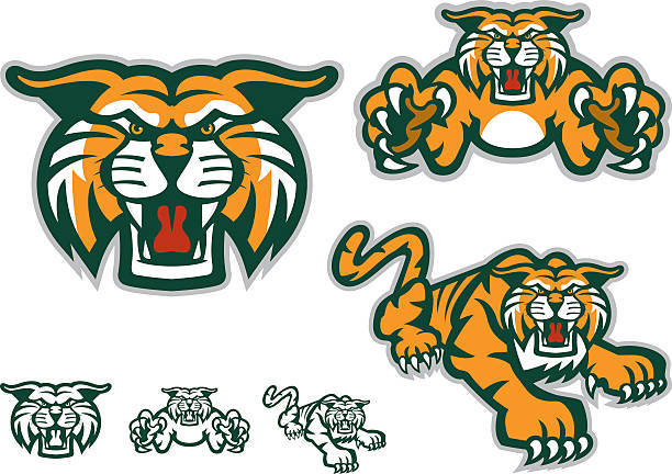 2900 Tiger Claw Illustrations Royalty Free Vector Graphics And Clip Art Istock