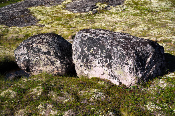 Free Stock Photo of A large rock in a grassy field | Download Free ...