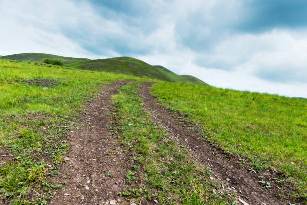 Free Stock Photo of Dirt Road Cutting Through Grassy Field | Download ...