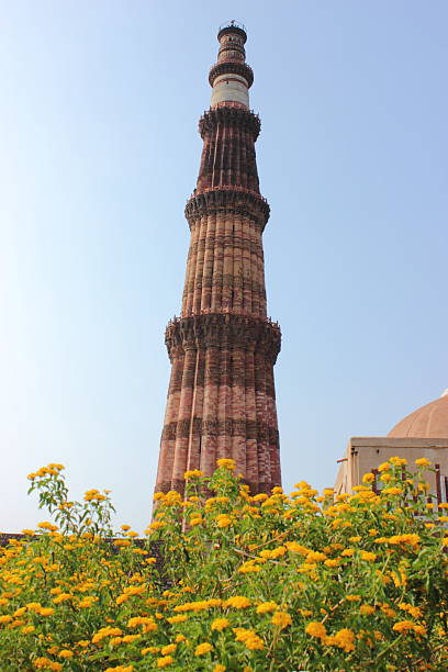 Kutub Minar Pictures | Download Free Images on Unsplash