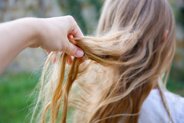 Free uncombed hair stock photos. Download the best free uncombed hair ...