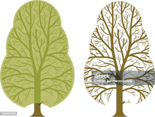 Tall Tree向量圖形及更多前後院圖片 前後院 大自然 室外 Istock
