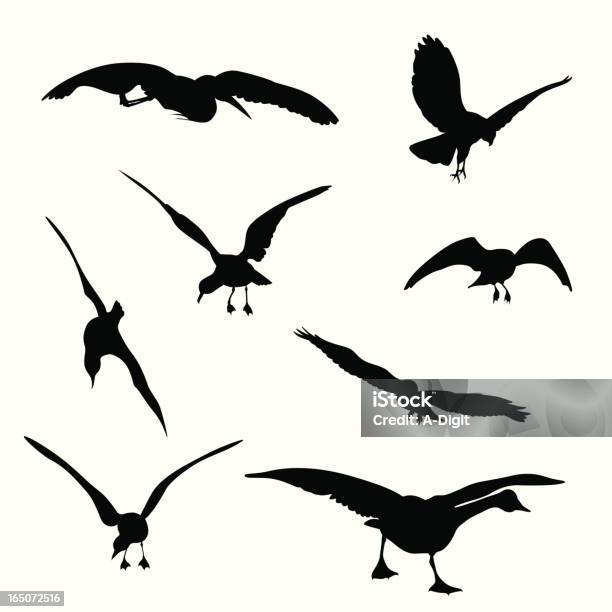 Flying Birds Vector Silhouette向量圖形及更多鵜鶘圖片 鵜鶘 海鷗 貓頭鷹 Istock