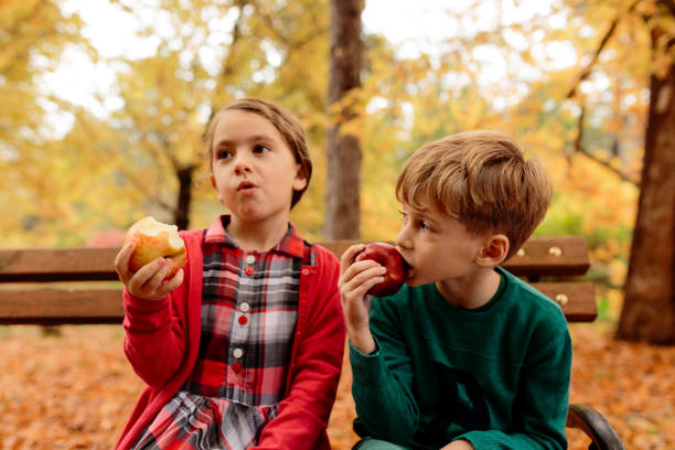 Free Stock Photo of Monkey Sitting on a Tree Eating an Apple | Download ...