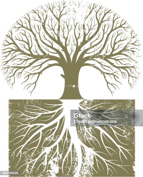 Grunge Tree And Roots向量圖形及更多具有特定質地圖片 具有特定質地 大自然 插圖 Istock