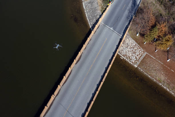 Free Stock Photo of Bridge Over Water With Birds | Download Free Images ...