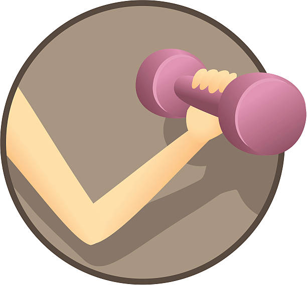 430+ Musculation Des Biceps Stock Illustrations, graphiques vectoriels ... 430+ Musculation Des Biceps Stock Illustrations, graphiques vectoriels ...