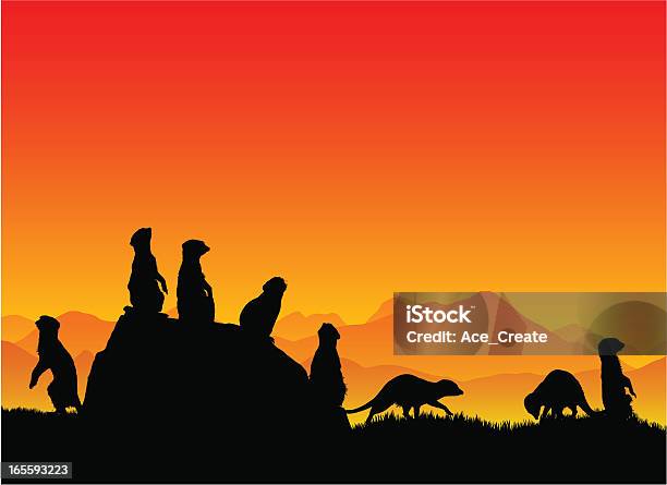 Meerkats In 실루엣 미어캣에 대한 스톡 벡터 아트 및 기타 이미지 미어캣 감정 걷기 Istock