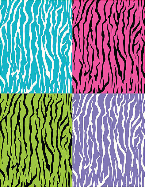 120 Blue Zebra Print Background Illustrations Royalty Free Vector