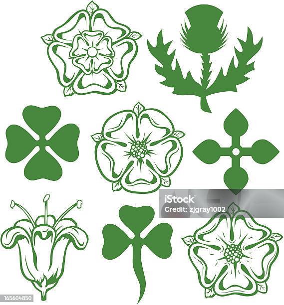 Heraldic 꽃 문장에 대한 스톡 벡터 아트 및 기타 이미지 문장 아일랜드 문화 엉겅퀴류 Istock