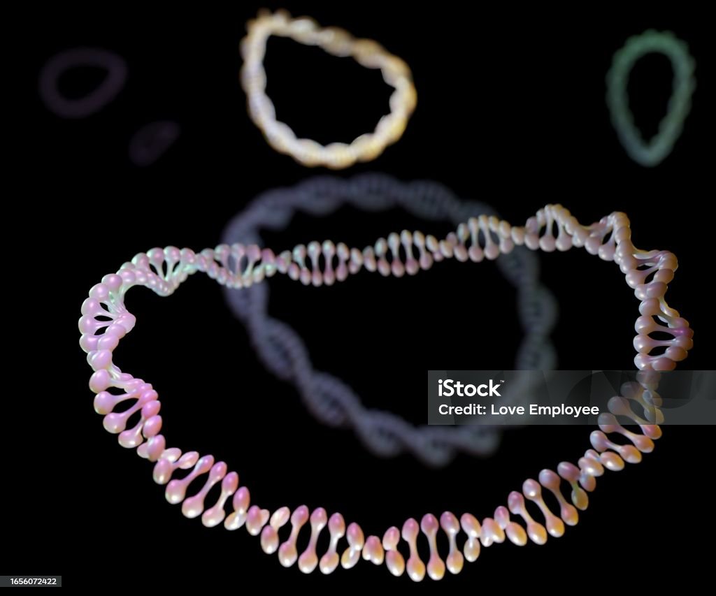Multiple Dna Plasmids Inside Of Bacteria Stock Photo - Download Image ... Multiple Dna Plasmids Inside Of Bacteria Stock Photo - Download Image ...