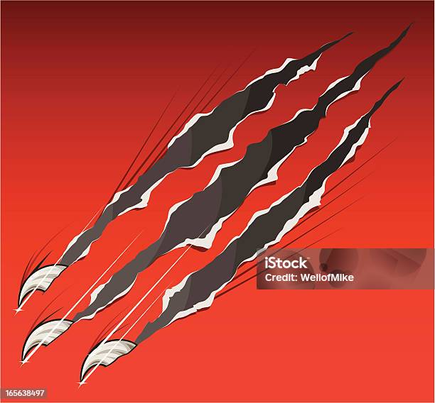 Claws 리핑 갈고리 발톱에 대한 스톡 벡터 아트 및 기타 이미지 갈고리 발톱 찢겨진 발톱 달린 발 Istock