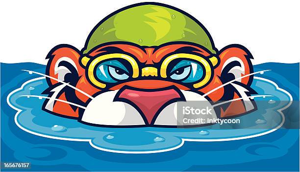 Tiger 수영 호랑이에 대한 스톡 벡터 아트 및 기타 이미지 호랑이 물 볼테르 인조 Istock