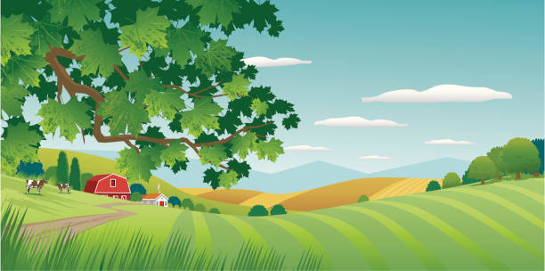 Farm landscape Clipart Vector PNG , SVG, EPS, PSD, AI