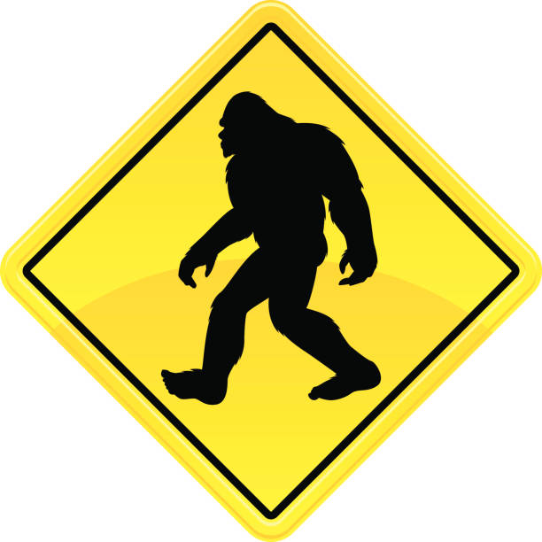 Bigfoot Illustrations, Royalty-Free Vector Graphics & Clip Art - iStock Bigfoot Illustrations, Royalty-Free Vector Graphics & Clip Art - iStock
