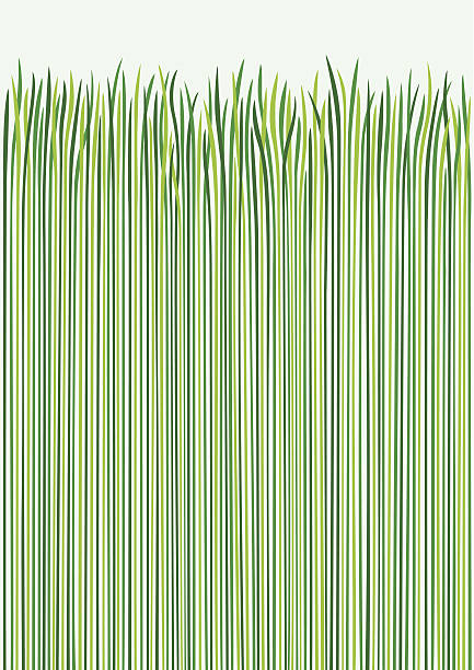 Download Grass, Blade, Nature. Royalty-Free Stock Illustration Image ...