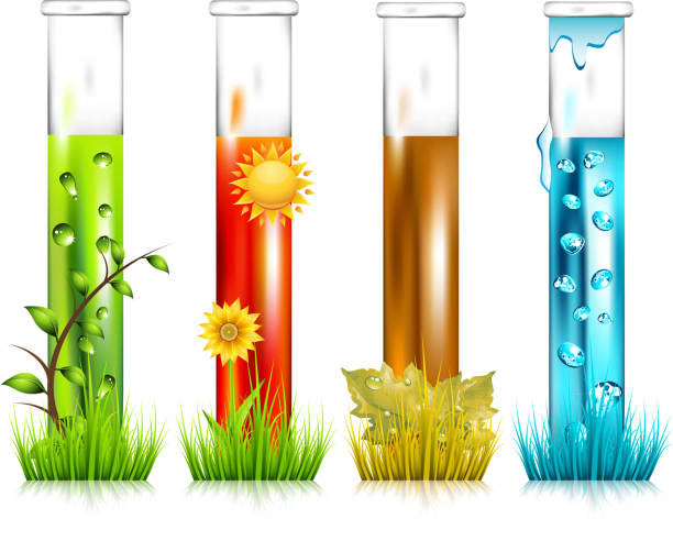 1,800+ Plant Test Tube Illustrations, Royalty-Free Vector Graphics ... 1,800+ Plant Test Tube Illustrations, Royalty-Free Vector Graphics ...