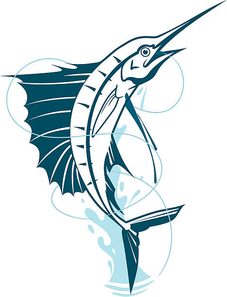 2,800+ Sailfish Stock Illustrations, Royalty-Free Vector Graphics ... 2,800+ Sailfish Stock Illustrations, Royalty-Free Vector Graphics ...