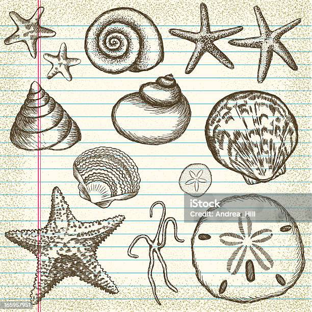 Ilustración de Conjunto Dibujados A Mano De Caracoles En Old Paper y ... Ilustración de Conjunto Dibujados A Mano De Caracoles En Old Paper y ...