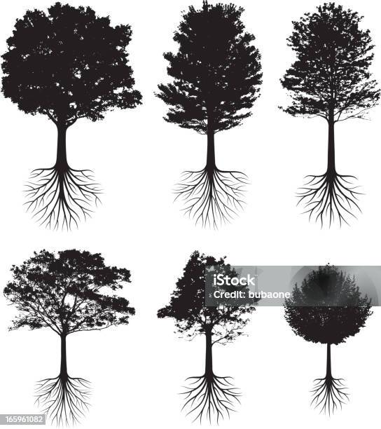 Trees With Roots Silhouettes Black And White Vector Icon Set向量圖形及更多樹圖片