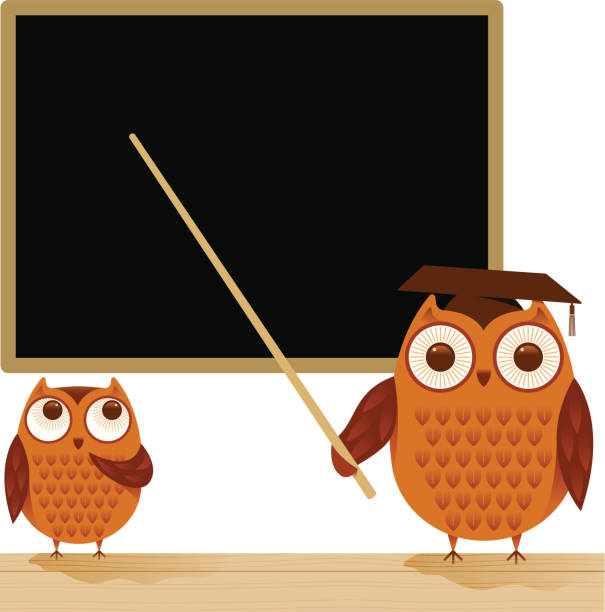 Owl Science Clipart